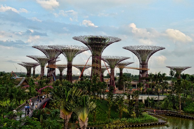Supertrees | TDA Global Cycling