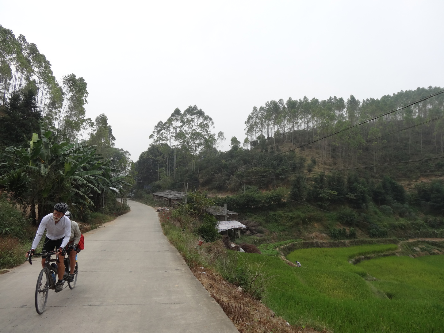 Meeting Mao & Tao on the Bamboo Road | TDA Global Cycling