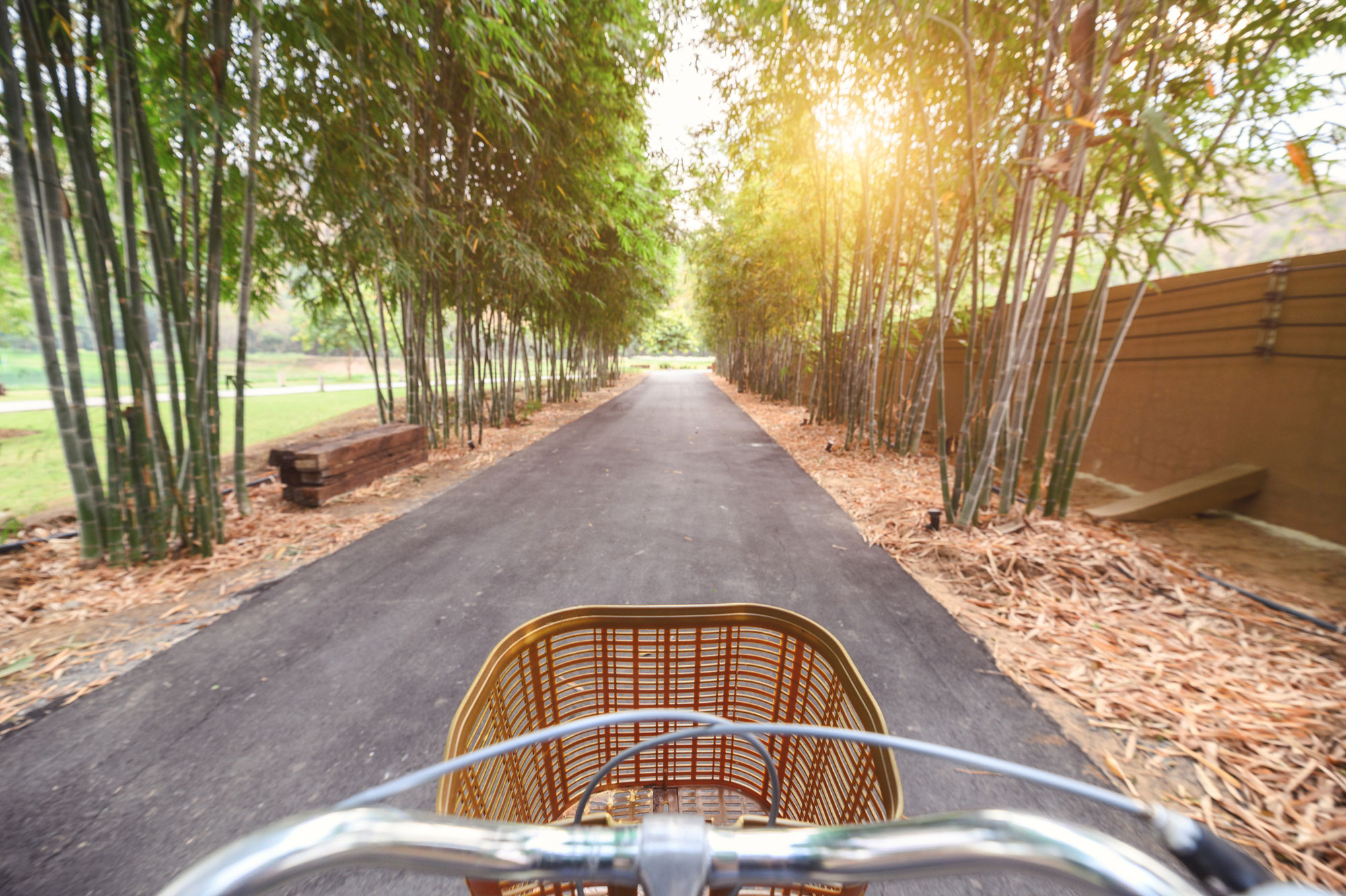 Zen & The Bamboo Road Bicycle Tour | TDA Global Cycling