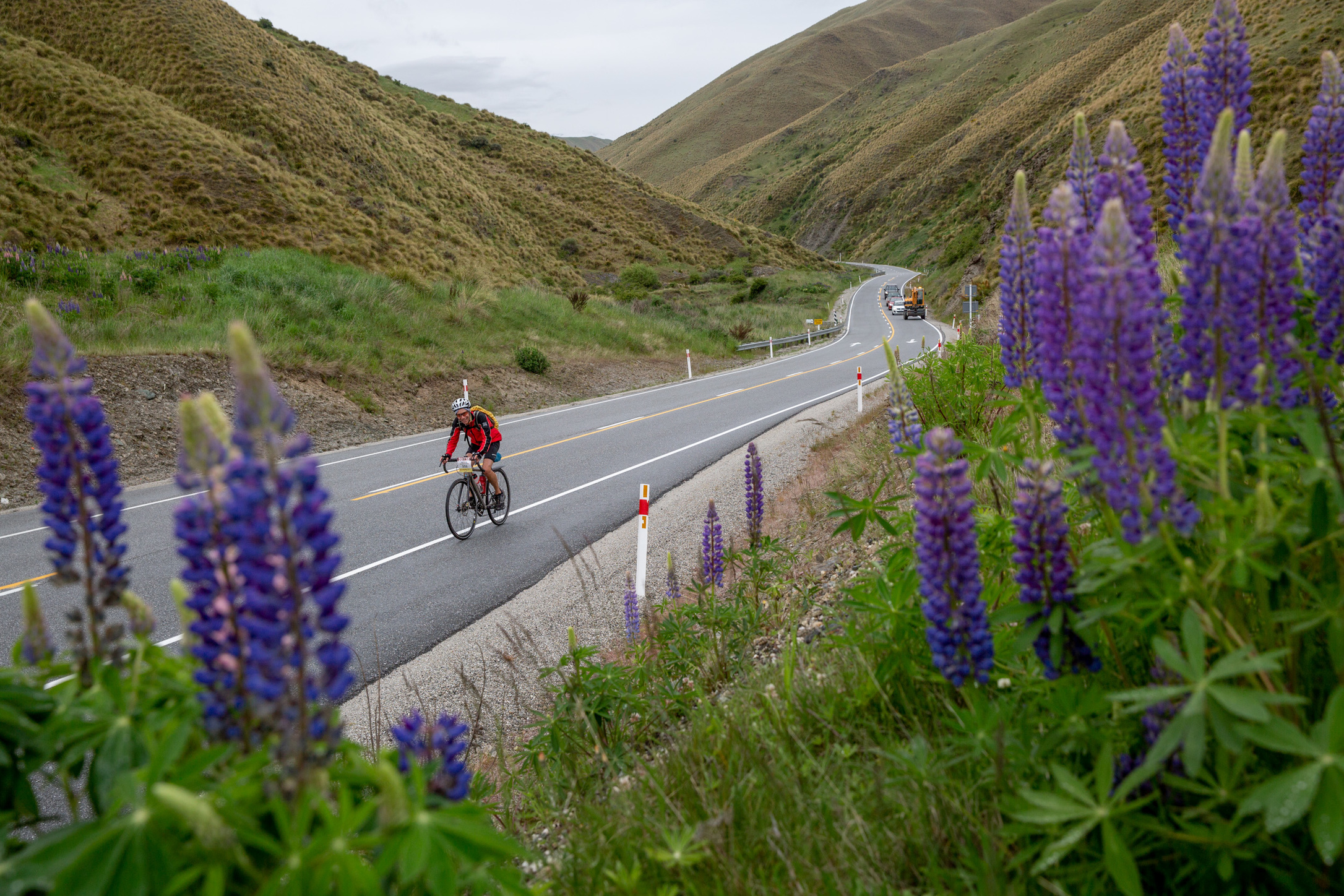 Results from our Annual Cycling Survey | TDA Global Cycling