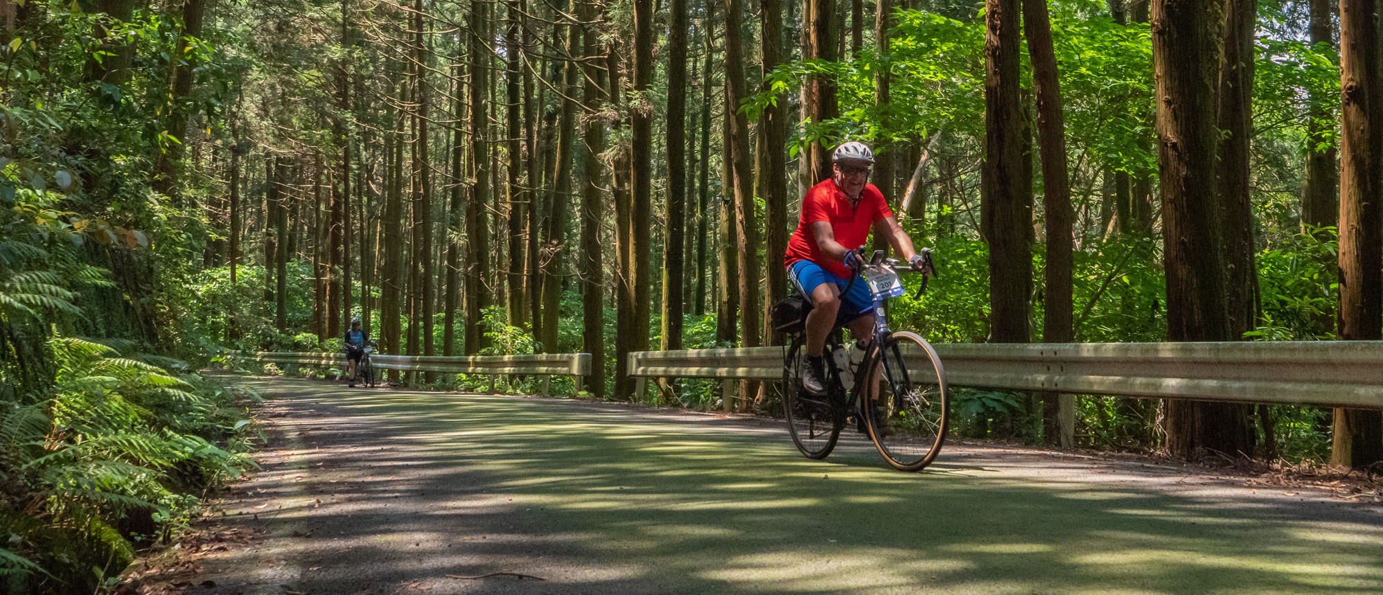 Forest Bathing On The Journey To The East Cycling Tour | TDA Global Cycling
