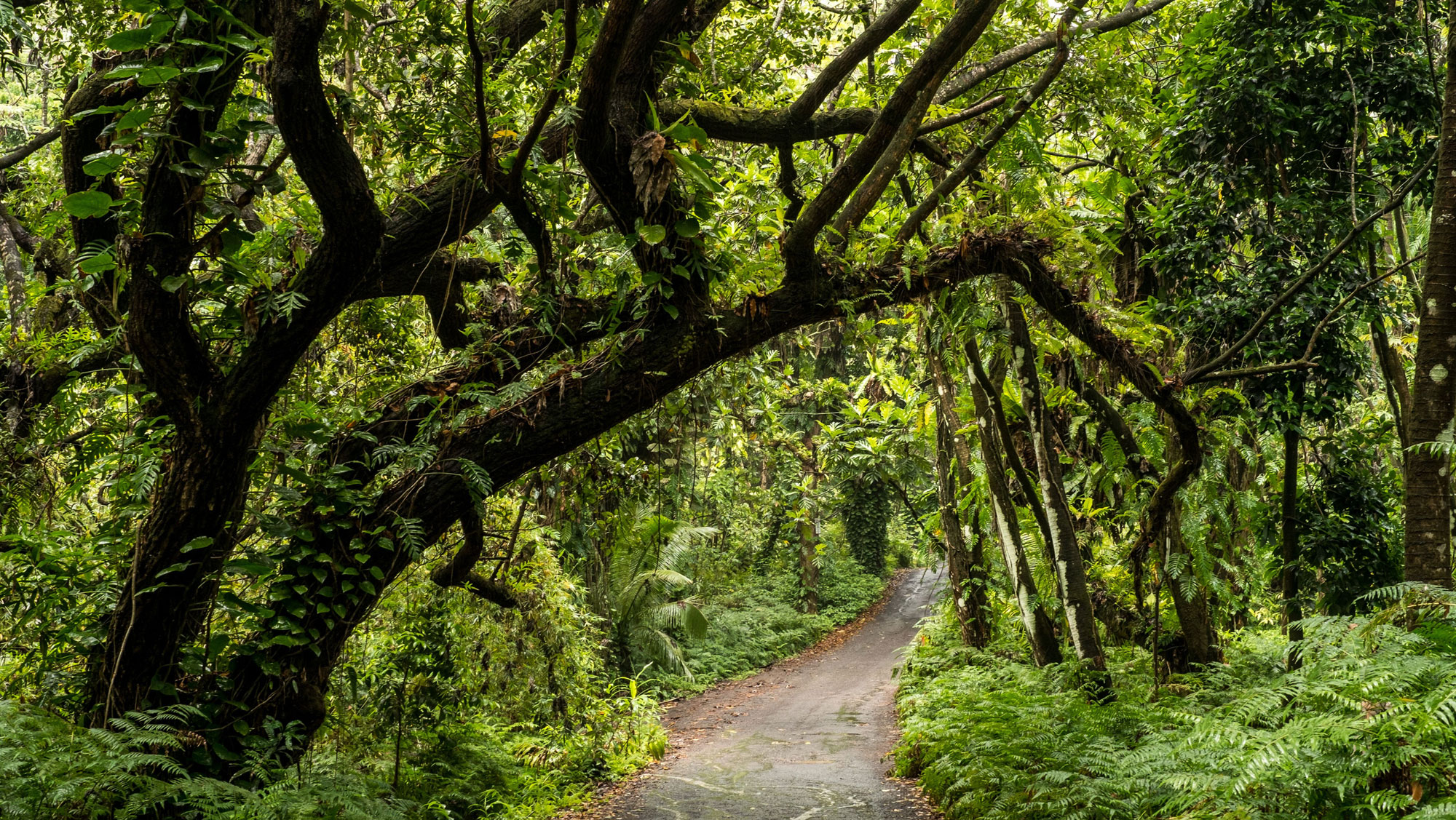 Waterfalls, Colonial Architecture & Mayan Ruins: Rest Days On The ‘Into ...