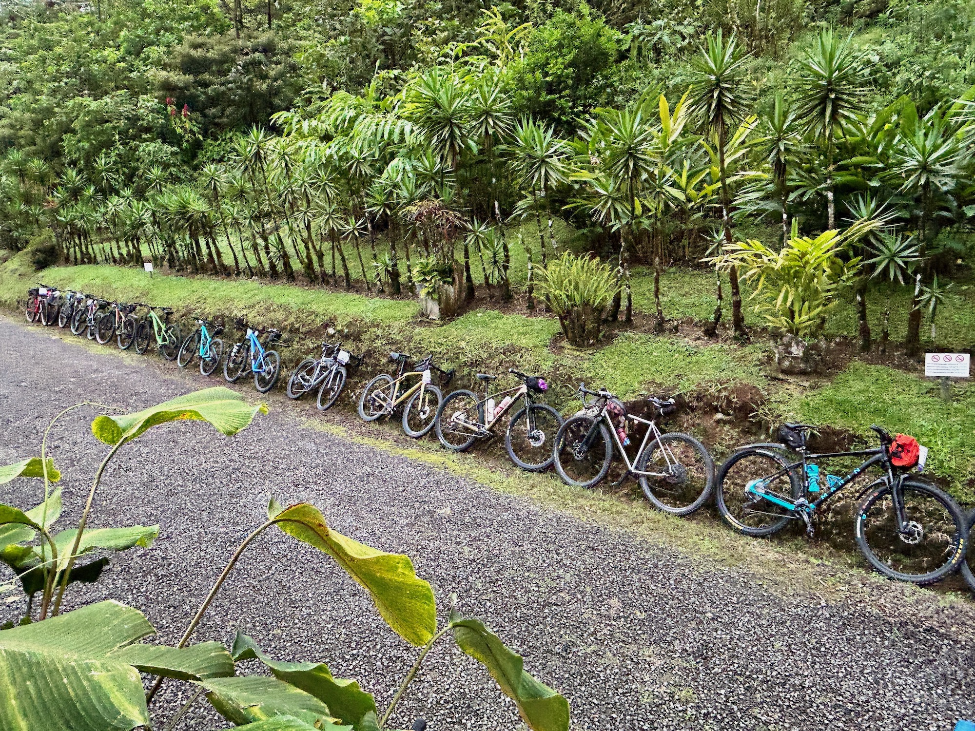 The Bicycles Of The Ruta Maya | TDA Global Cycling