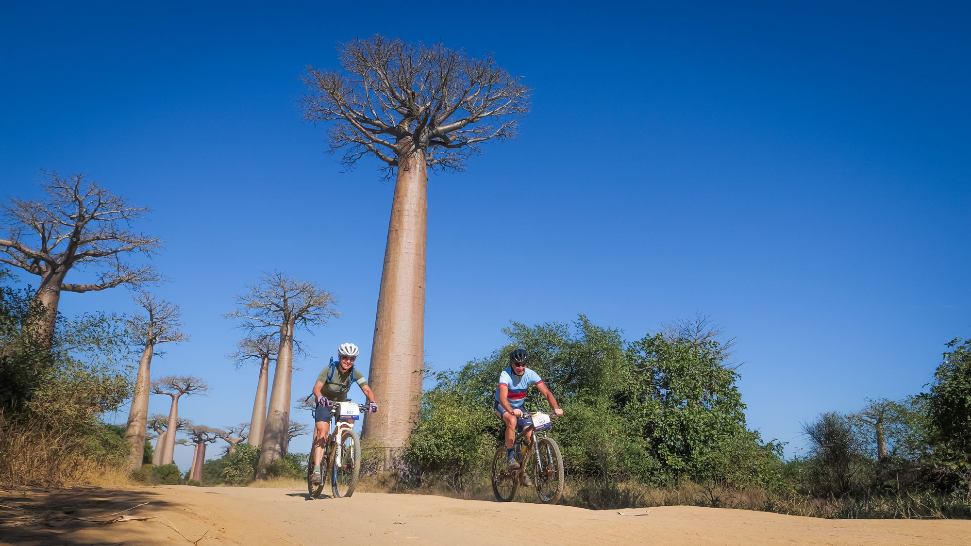 Staff Picks: Top Ten Blogs Of 2023 | TDA Global Cycling