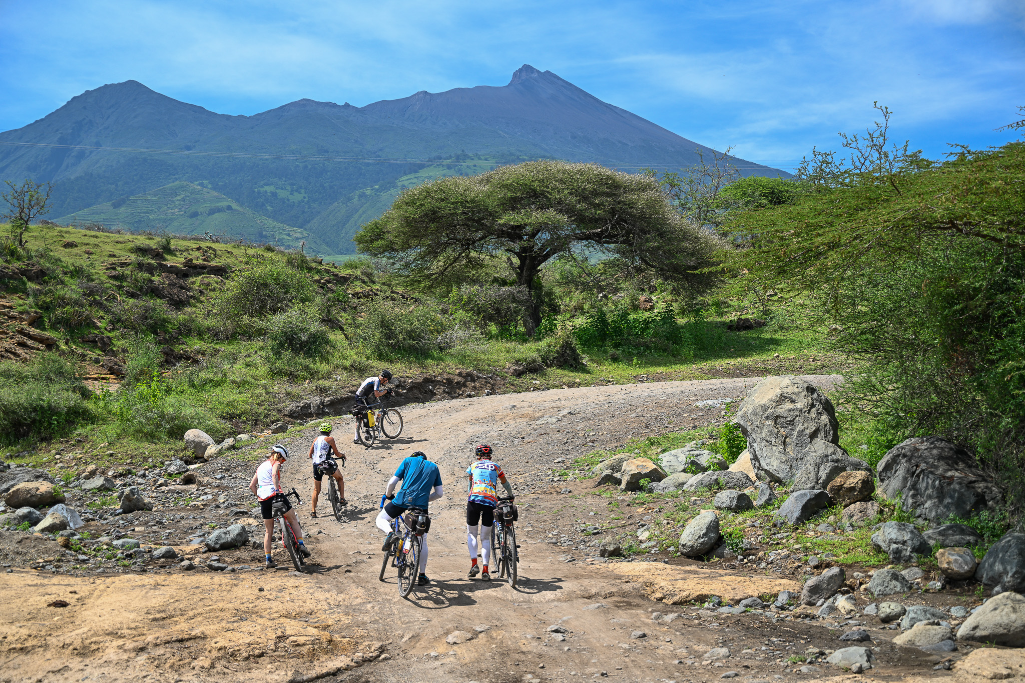 How To Choose A Bike For The Tour d’Afrique Cycling Expedition | TDA ...