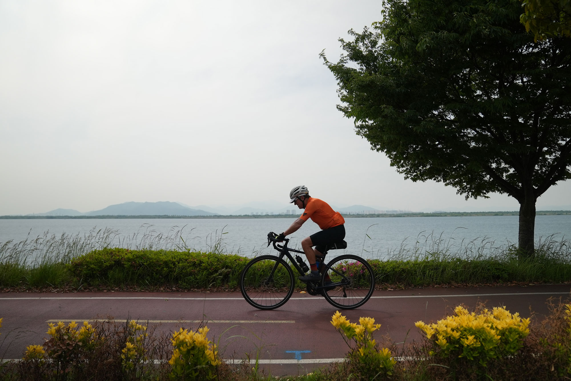 Too Good To Be True: The Treat Of Bike Path Cycling In South Korea ...